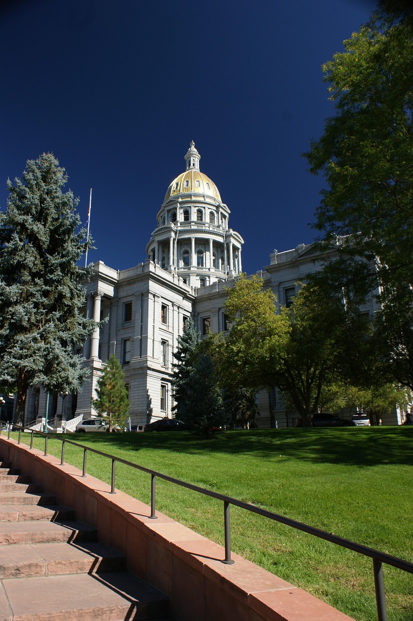 The Sampler - Denver Music Playlist Updated Monthly